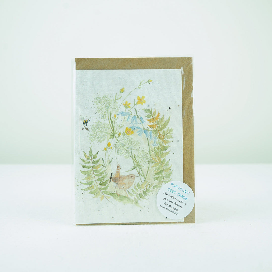 Walsingham Farm Shop | Louise Money Plantable Seed Cards