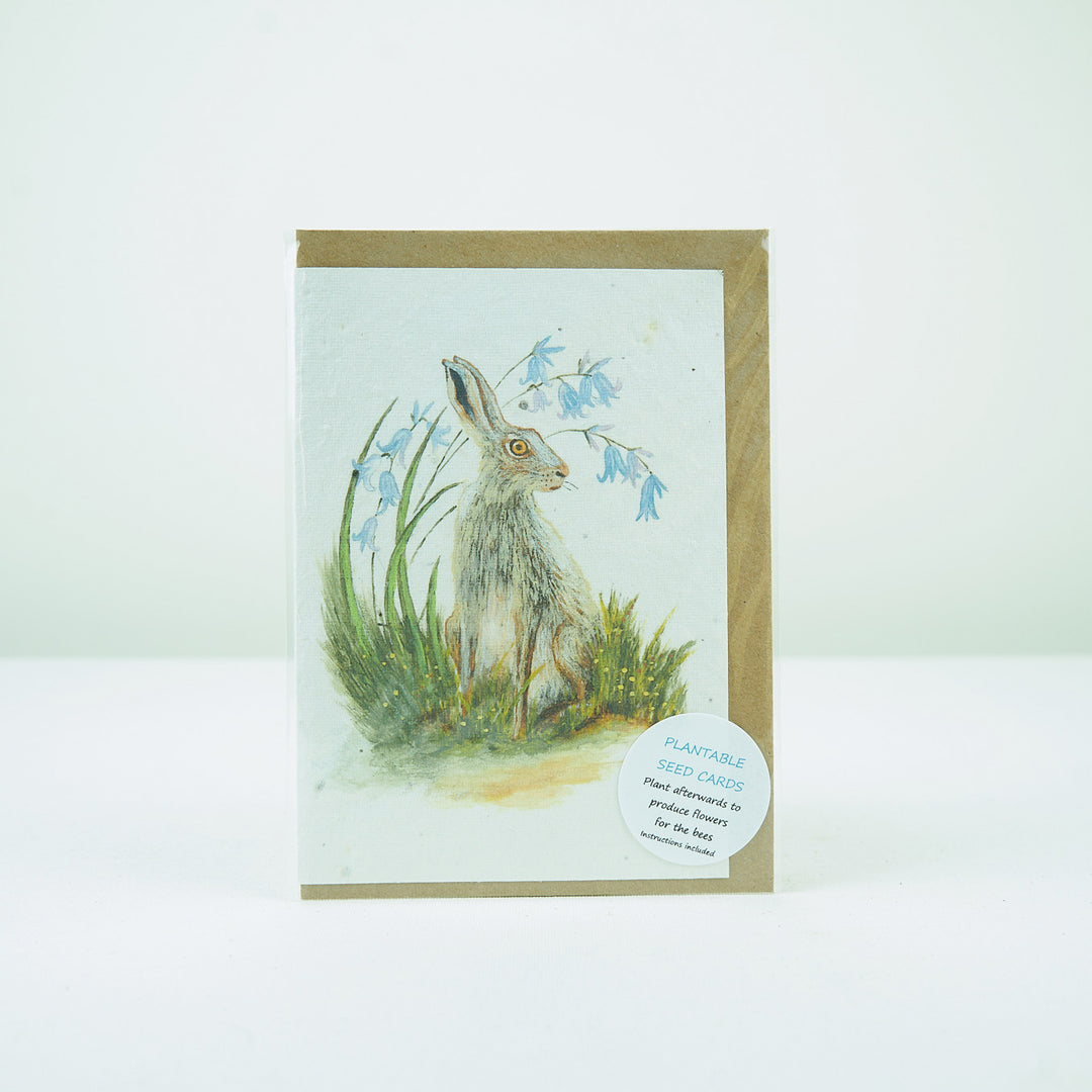 Walsingham Farm Shop | Louise Money Plantable Seed Cards